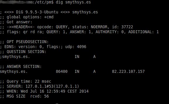 Comando dig en Linux: comprobar DNS - SmythSys IT Consulting